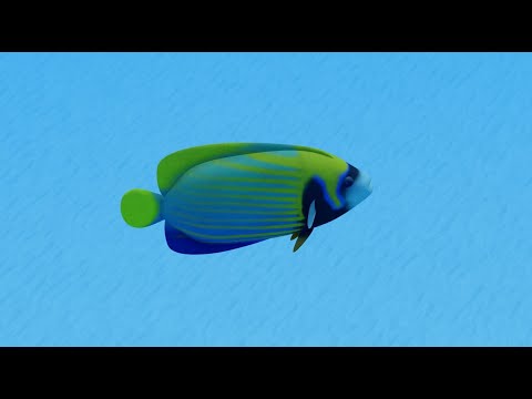 (ocean) como encontrar Emperor Angelfish, Flame Angelfish y Bird ...