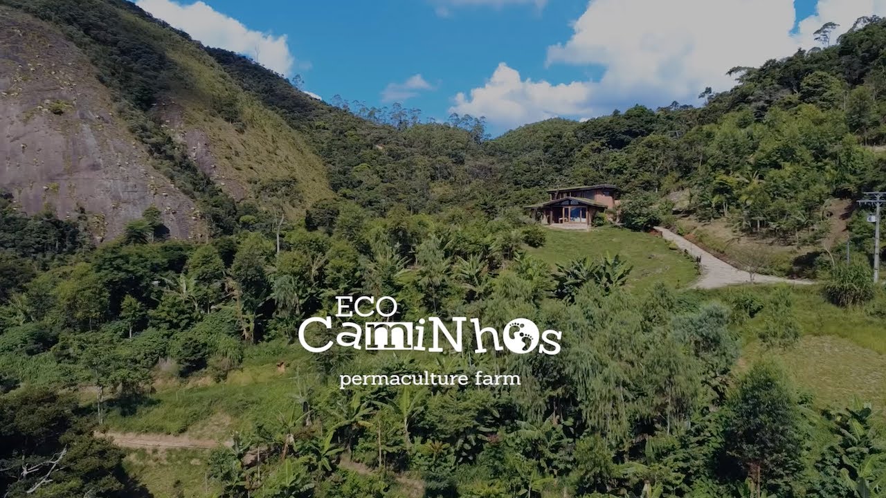 Living & Learning on a Permaculture in Farm Brazil in the Atlantic ...