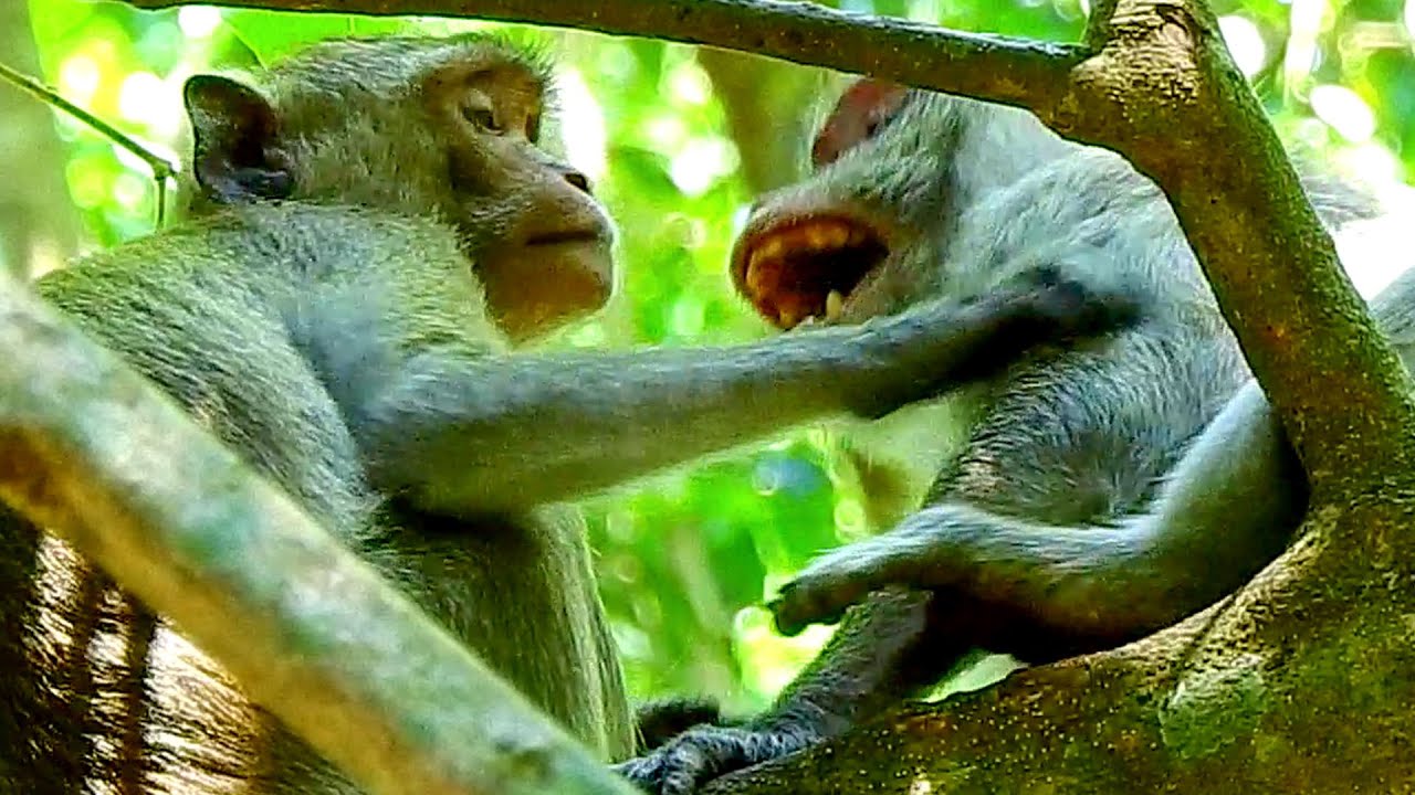 Jane said she late surprise pregnant Jazzy on her birth day while she ...