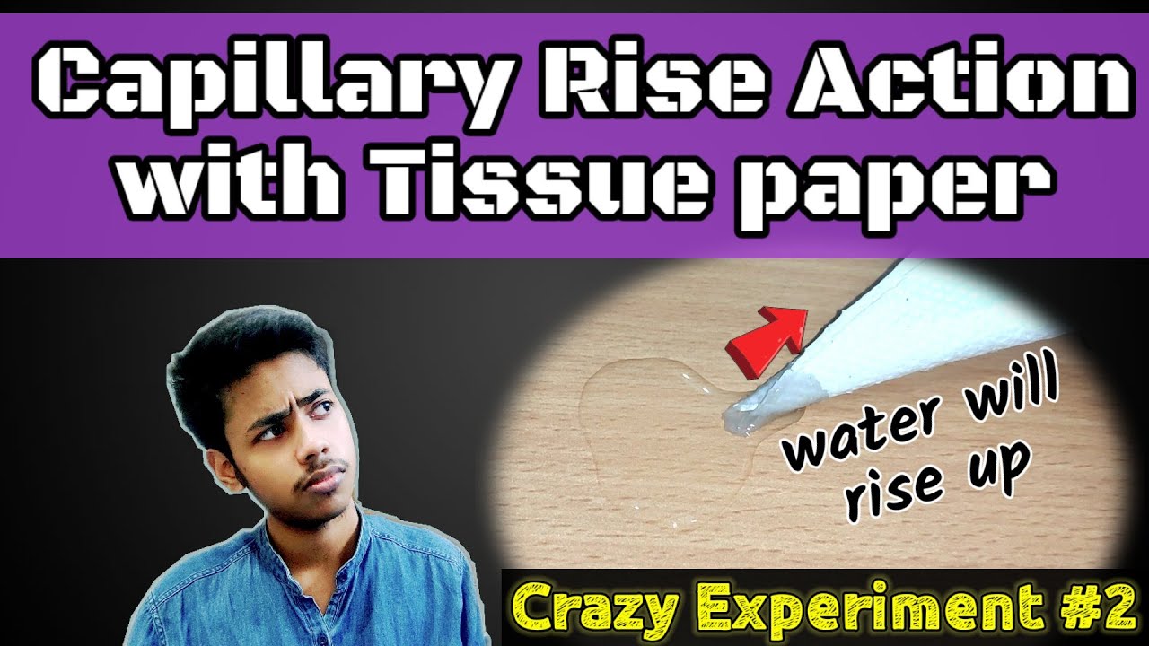 Capillary Rise Action Experiment with Tissue Paper | Capillary Rise ...