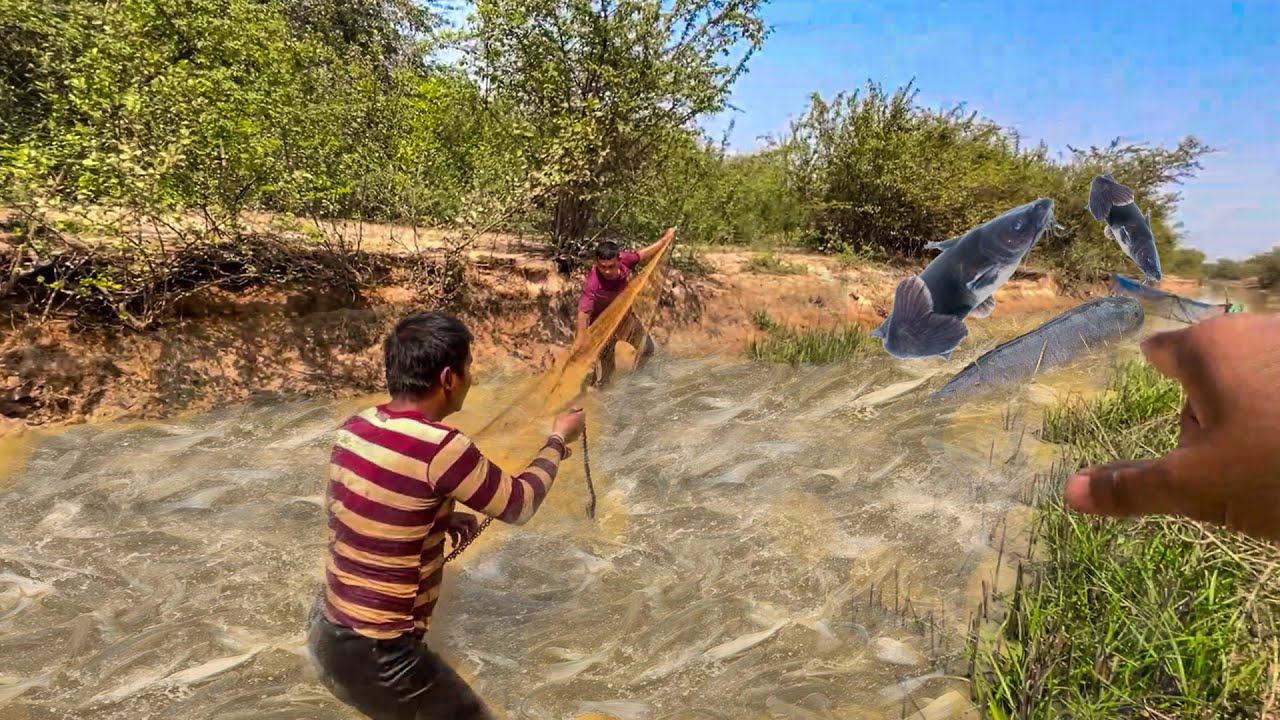 Fisherman Cast Net Fishing Real Life Amazing Fishing At Countryside ...