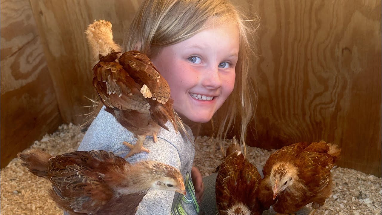 1st Grade Show and Tell Mrs Henderson - YouTube