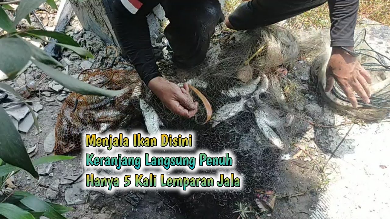 Menjala Ikan Disini Ga Pernah Gagal || Fishing Nets #menjalaikandilaut ...