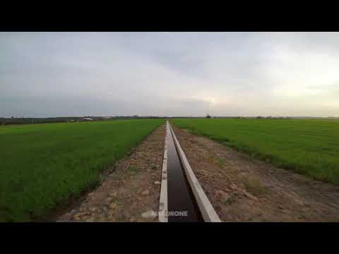 SAWAH RING, GERISEK - YouTube