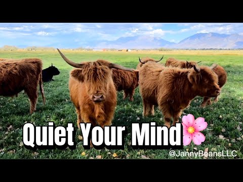 Relax with the Highlands-Full Screen