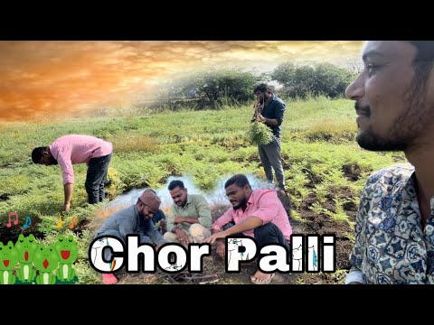 Chor Chanaga palli | village vlog | Peddareddypet - YouTube