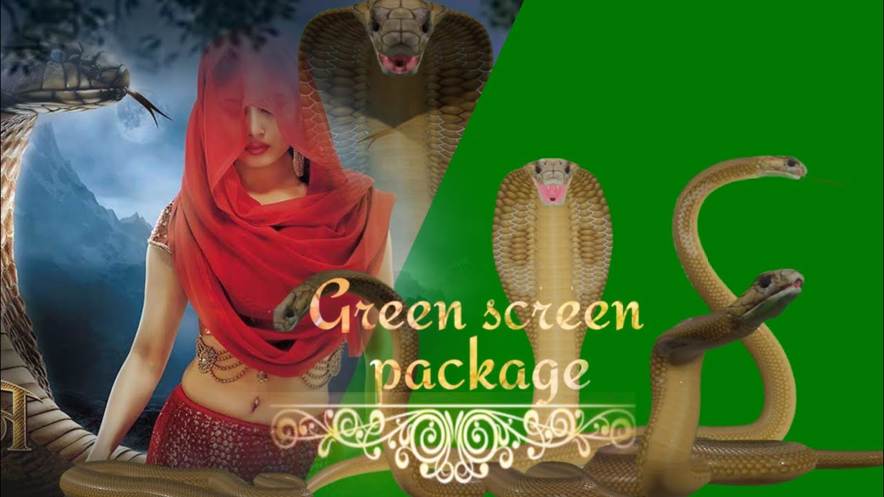 nagin season 1 sivnya golden snake animation on green screen - YouTube
