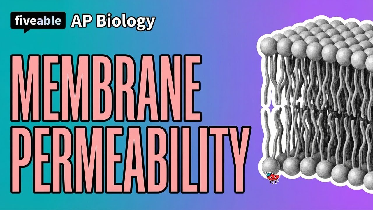 AP Bio - Membrane Permeability hosted by Kari Parnin - YouTube