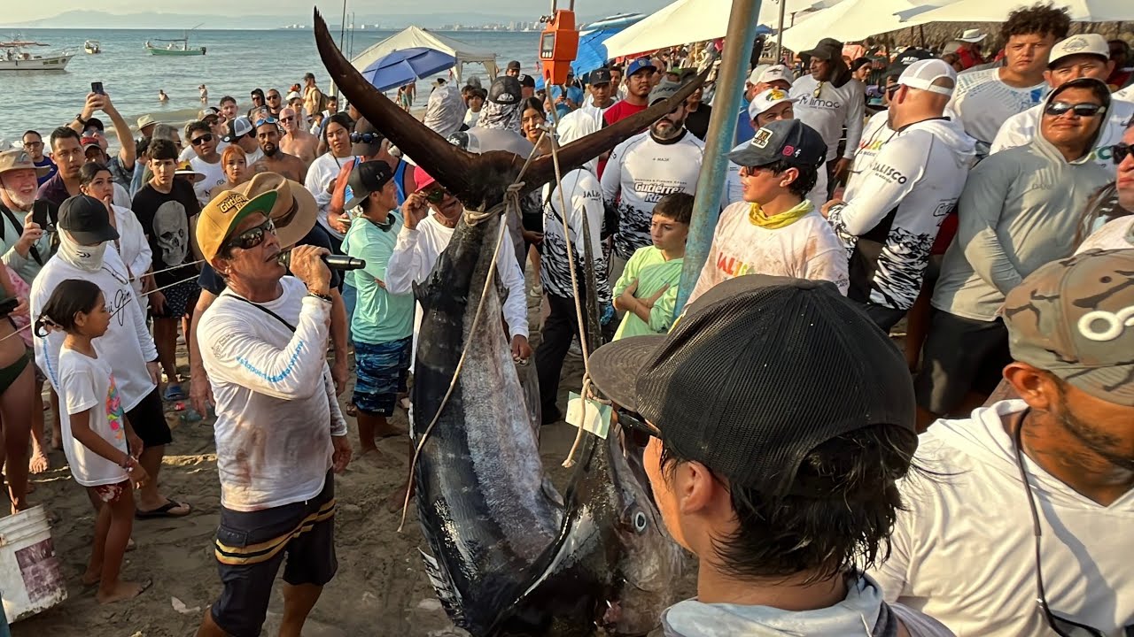 🎣Impresionante Marlin de 163 kg 🐟 | Torneo de Pesca Playa Los Muertos ...