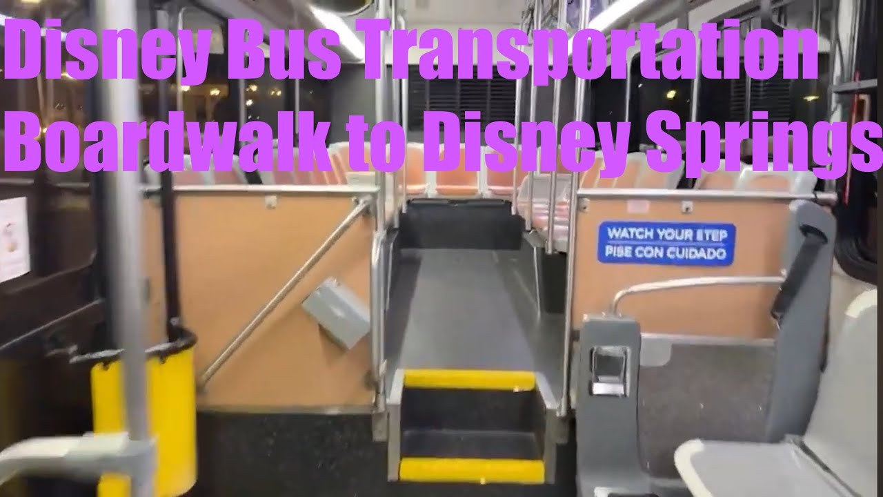 Disney Transportation Bus From The Boardwalk To Disney Springs - YouTube