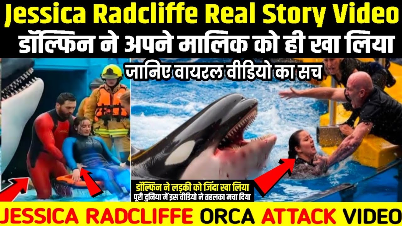 Jessica Dolphin Last Video Viral 😱🦈 Ladki Ko Dolphin Ne Zinda 😱 Kha ...
