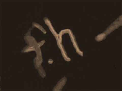 1993 F.H.E. logo in G major In STJ's G major