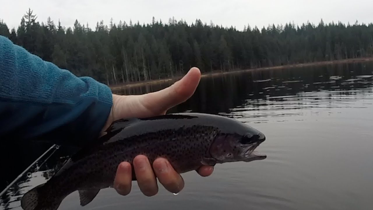 MIKE LAKE: How MANY fish did we catch in an hour and a half? - YouTube