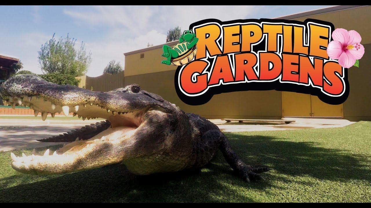 Reptile Gardens | World's Largest Reptile Collection - YouTube