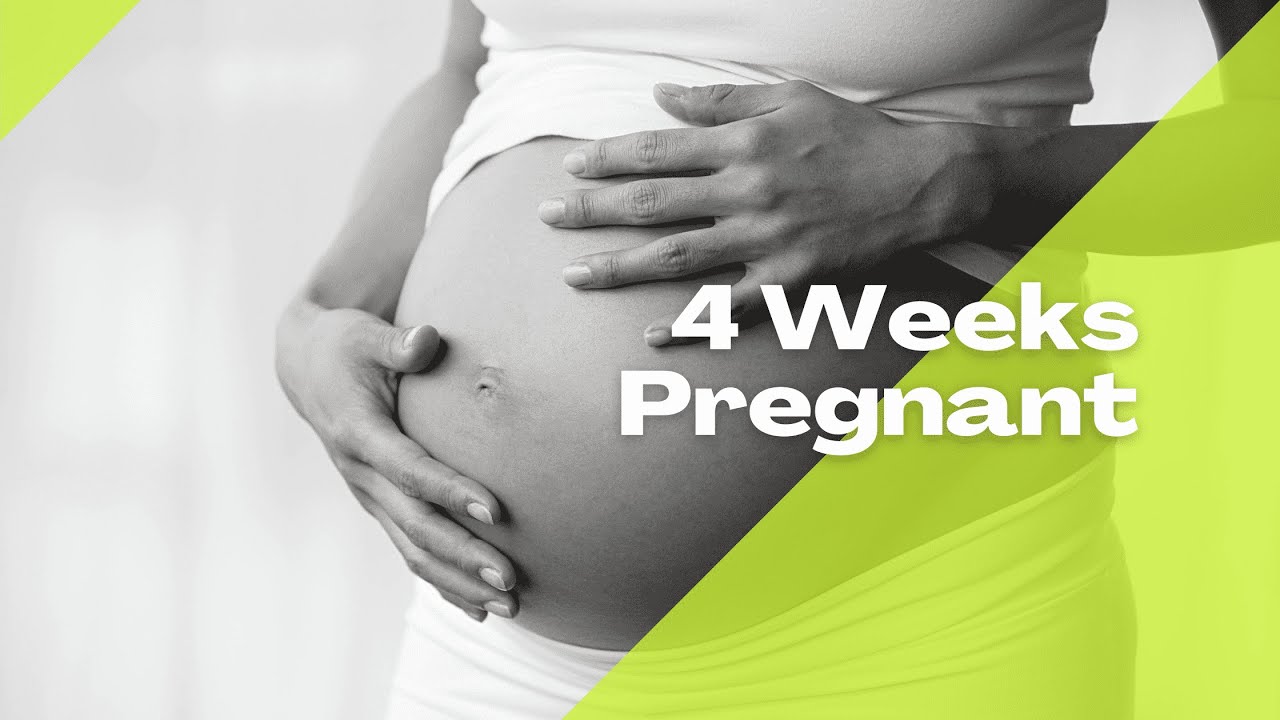 4th Weeks Pregnant And 4th weeks pregnant Signs |Symptoms 4 Weeks ...