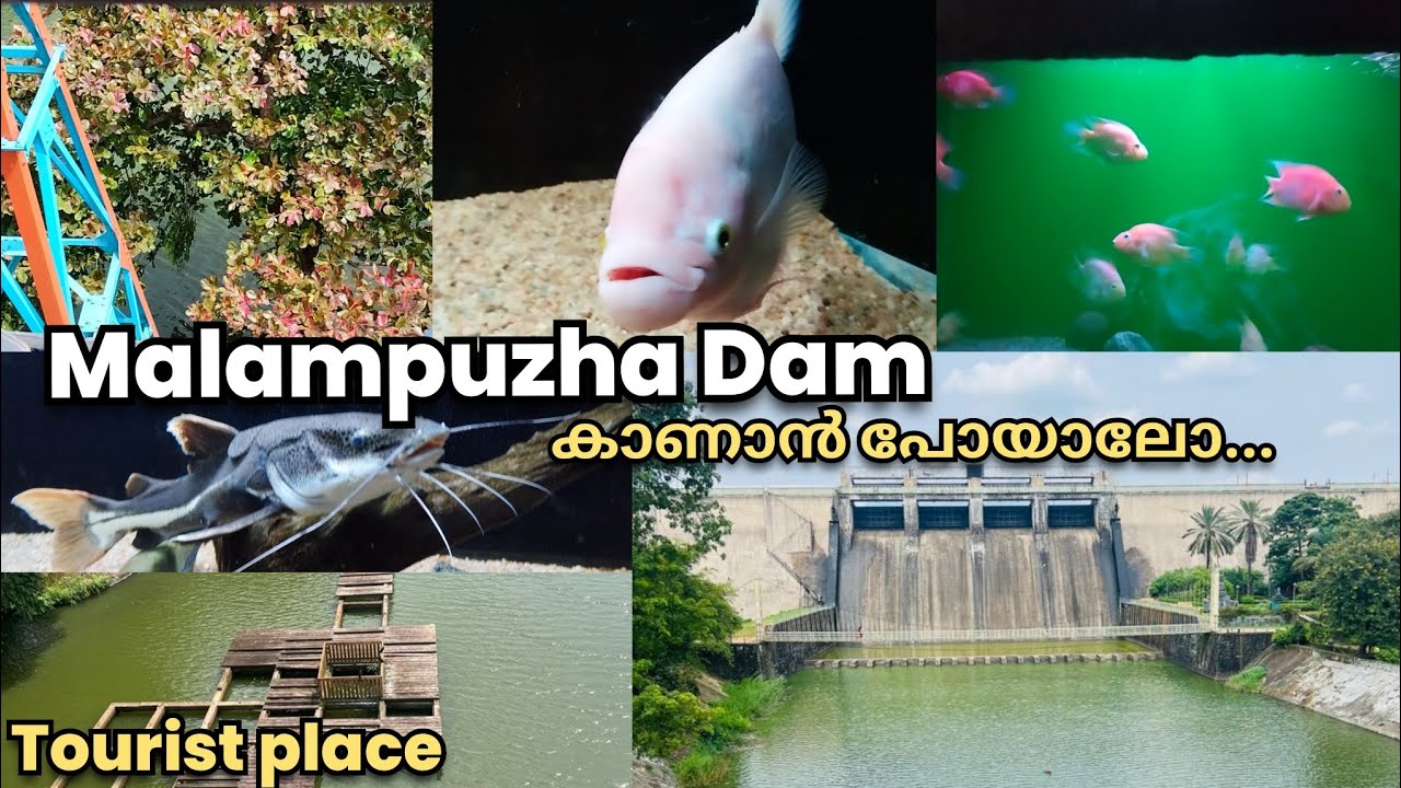 പാലക്കാട്‌ vlog / Fish Aquarium/ Malampuzha Dam/ Tourist Place - YouTube