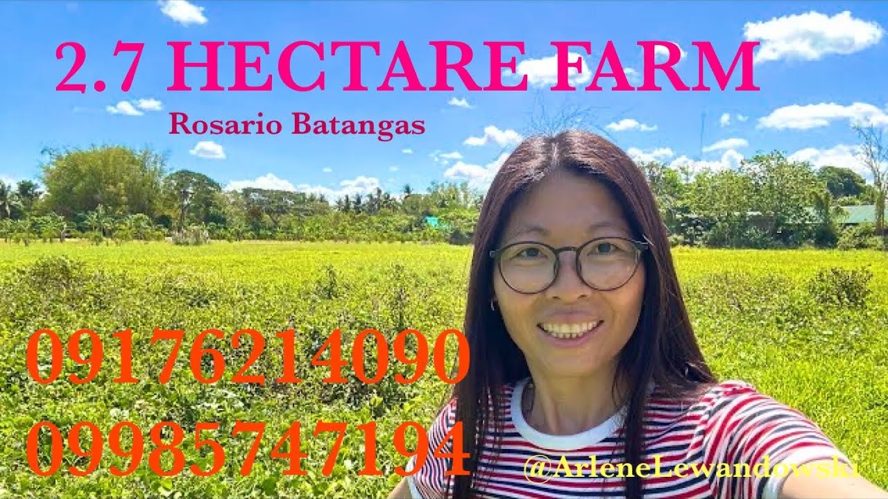 Vlog601: FOR SALE 2.7 HECTARE CALAMANSI FARM IN ROSARIO BATANGAS ...