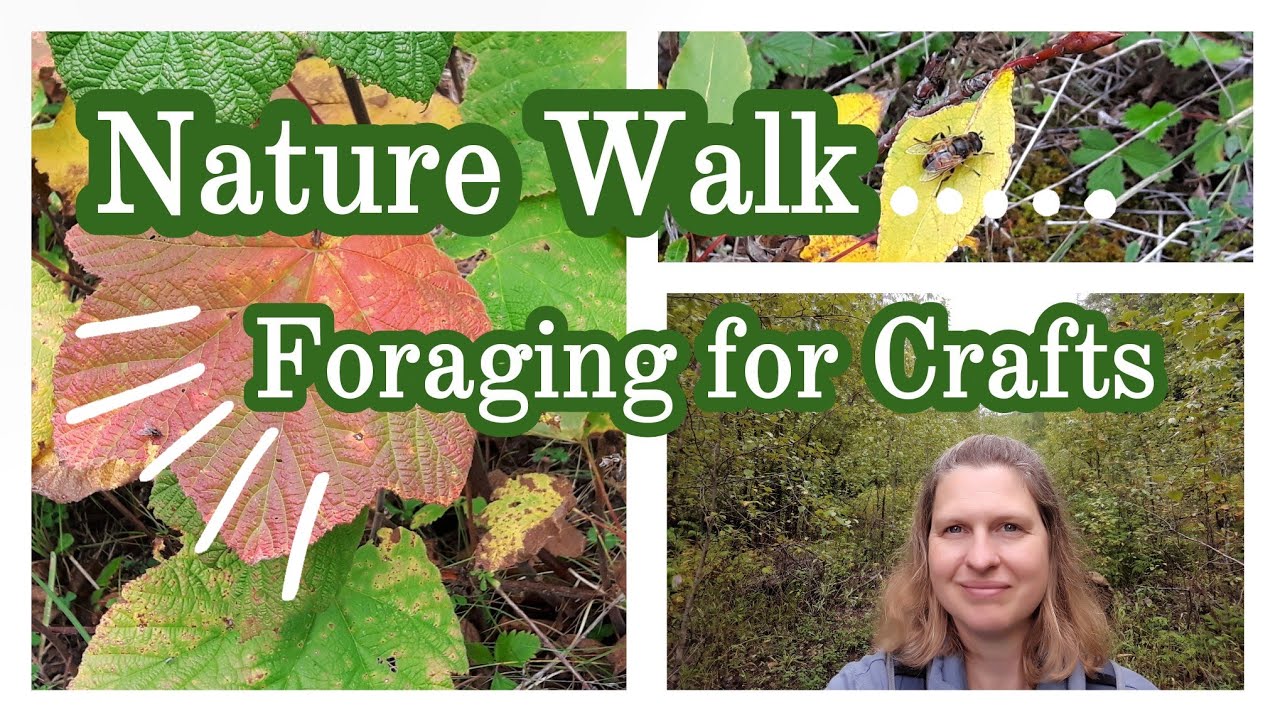 Nature Walk || Foraging for Crafts and DIYs - YouTube