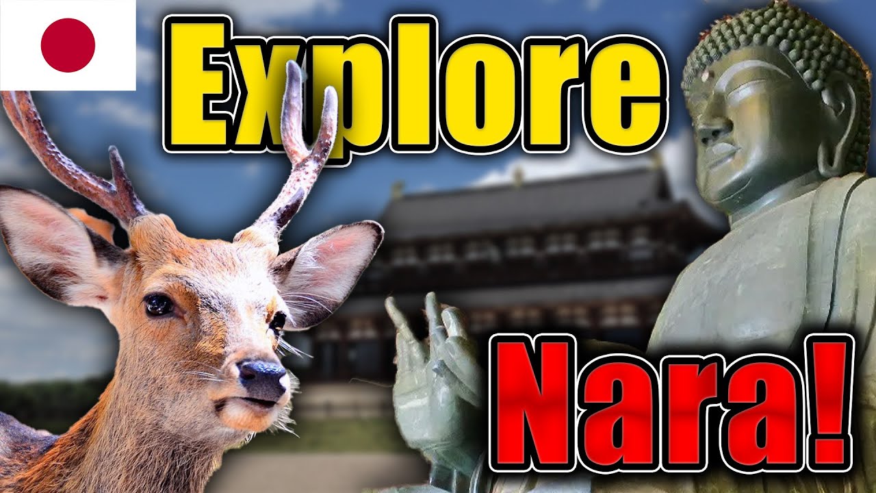 Discover Nara: A Journey Through Temples, Shrines, and History - YouTube