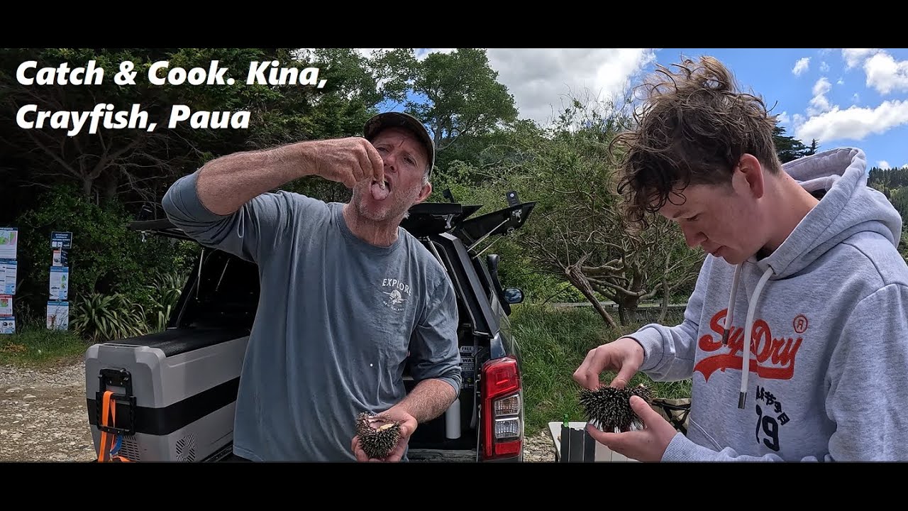 Catch & cook, Kina, Crayfish, Paua - YouTube