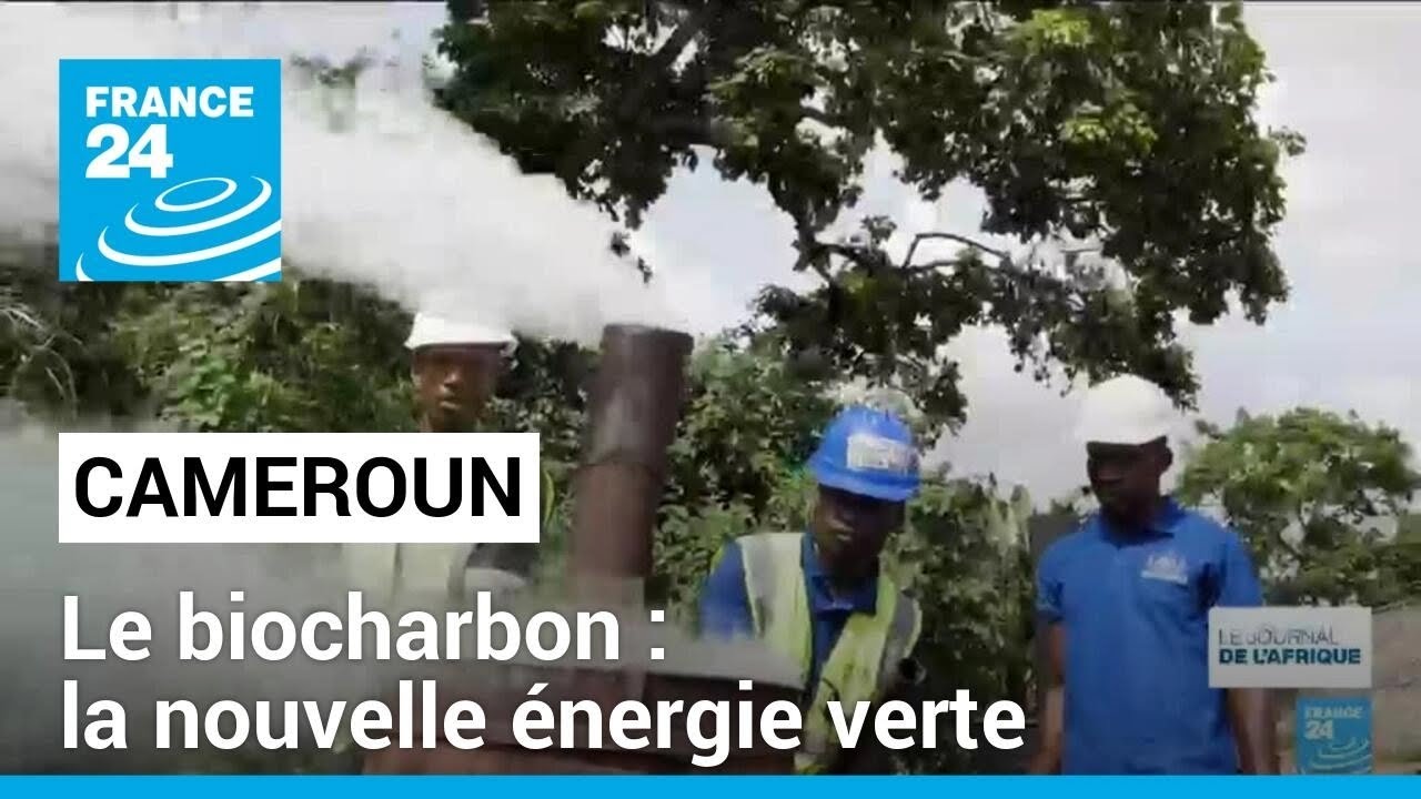 Énergie verte au Cameroun : production de biocharbon • FRANCE 24 - YouTube