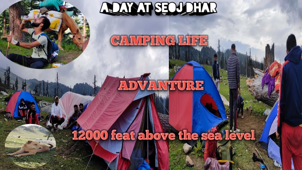 A DAY AT SEOJ DHAR |12000ft| ABOVE THE SEA LEAVEL |EPISODE 1 - YouTube