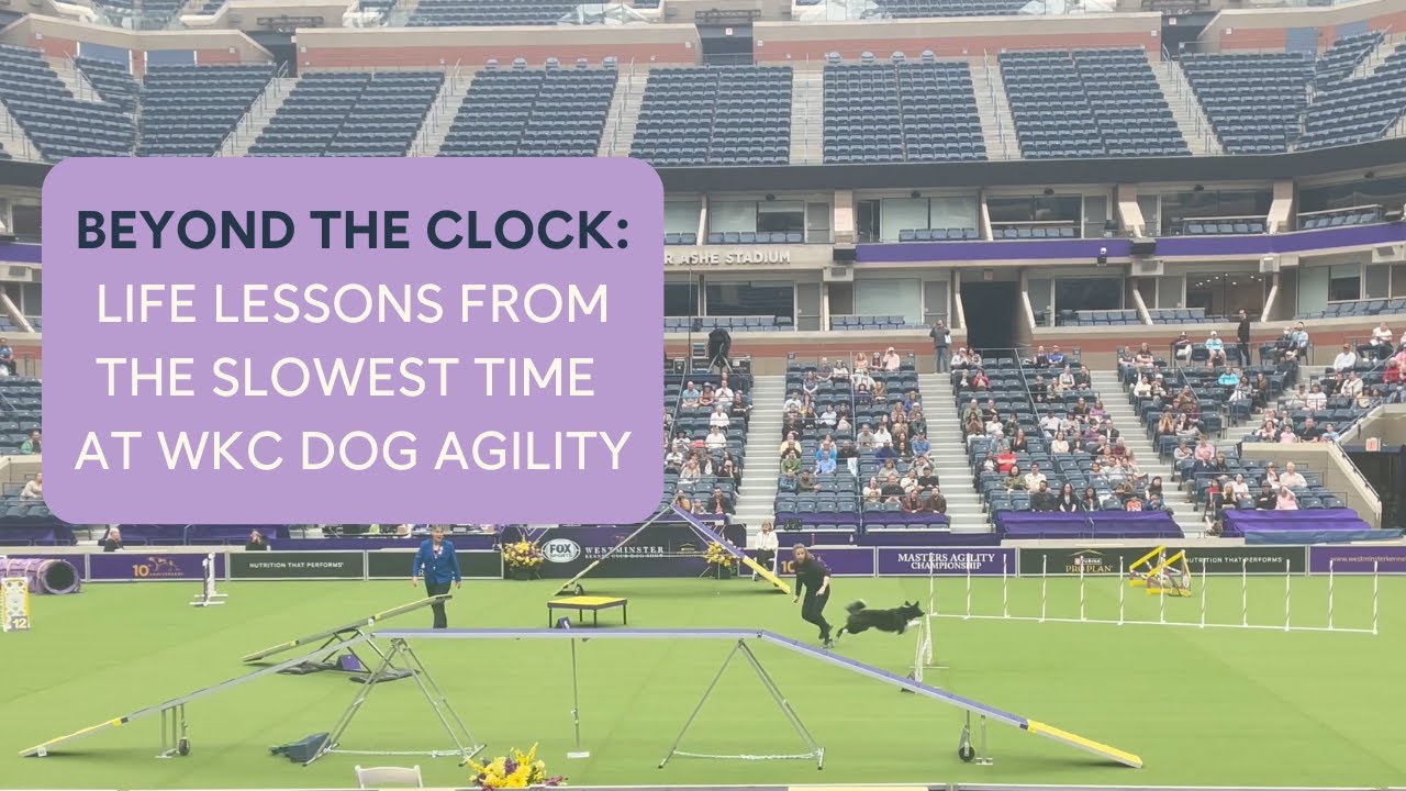 Beyond the Clock: Vital Lessons Learned from the Slowest Dog at WKC ...