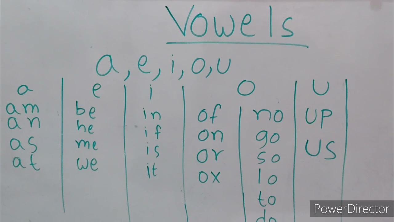 what-are-vowels-consonant-in-that-two-letter-words-explained-2
