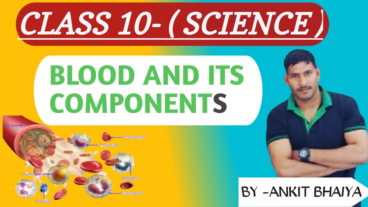 blood and its components and functions/blood and its components and ...