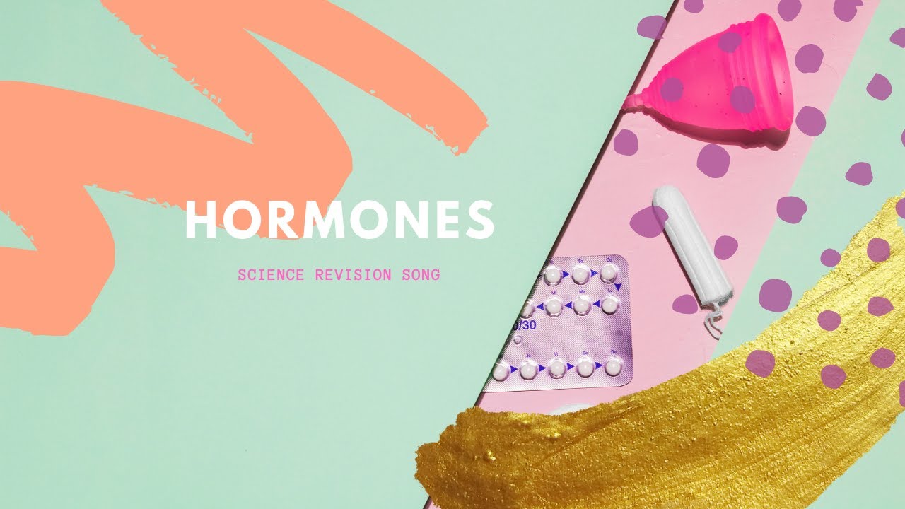 Hormones science song - YouTube