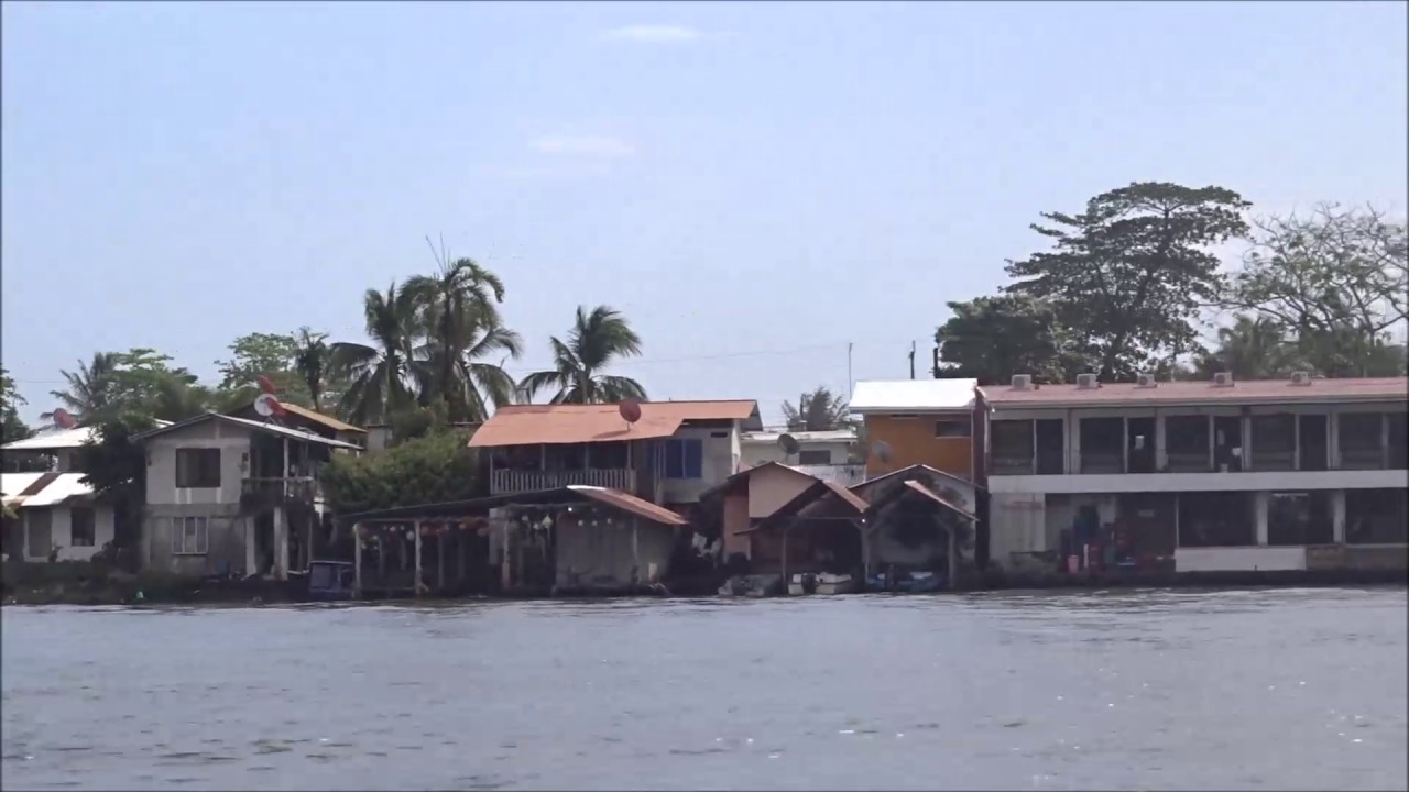 Recorrido en lancha desde La Pavona hasta Tortuguero Costa Rica - YouTube