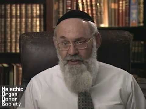 Rabbi Steinberg Rabbi Moshe Feinstein - YouTube