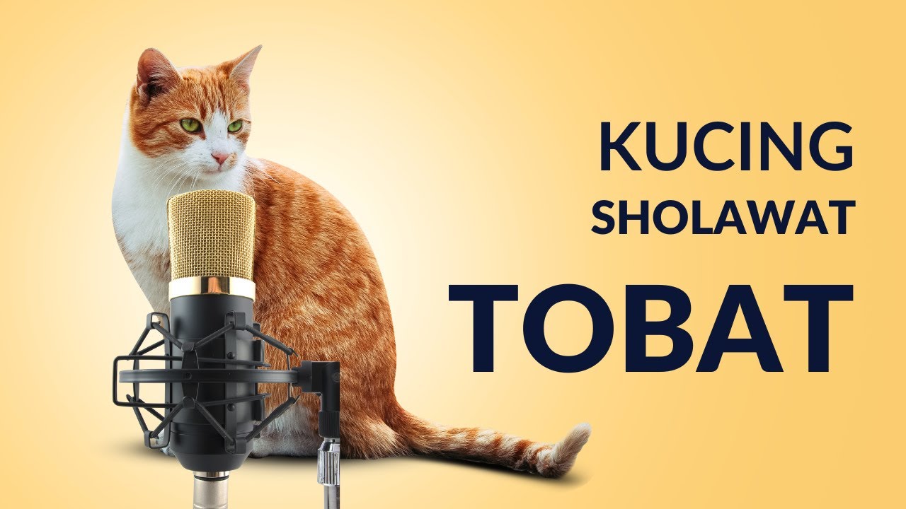 SHOLAWAT NASUHA COVER KUCING OYEN @KucingShalawat @OmWepe - YouTube