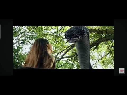 Girl squeeze by a giant snake 