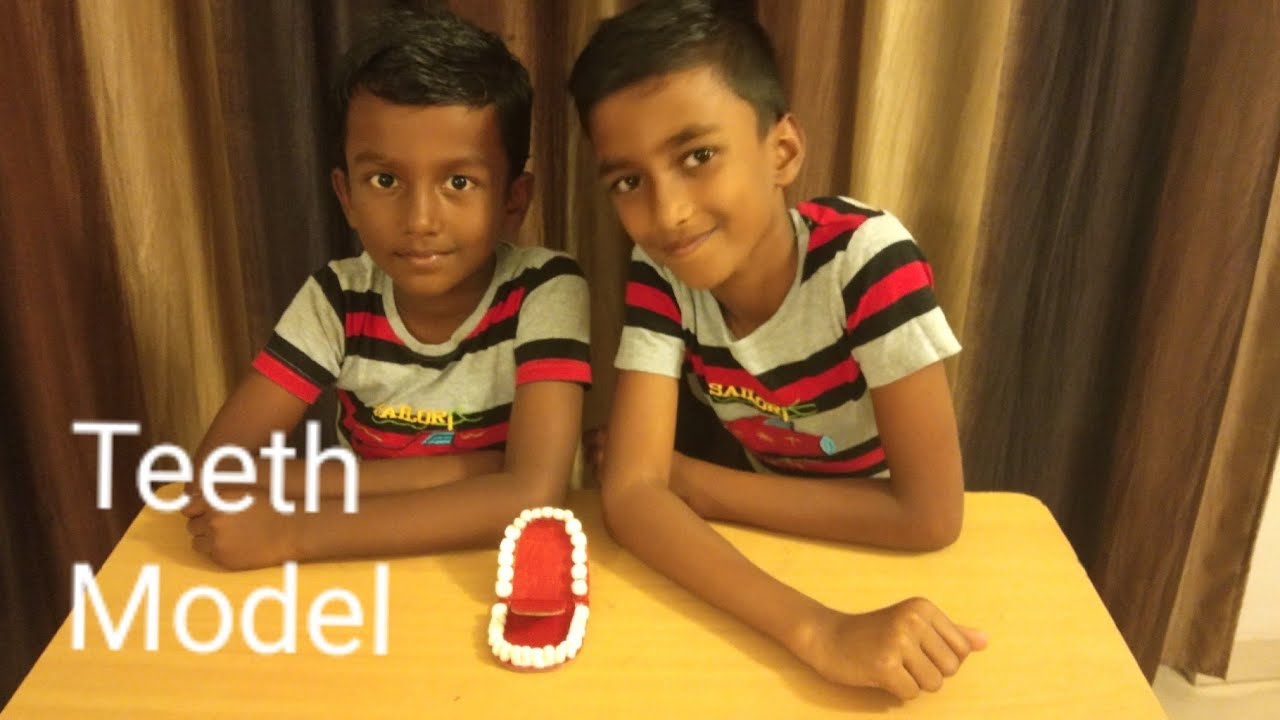 Teeth Model making Using Play Doh - YouTube
