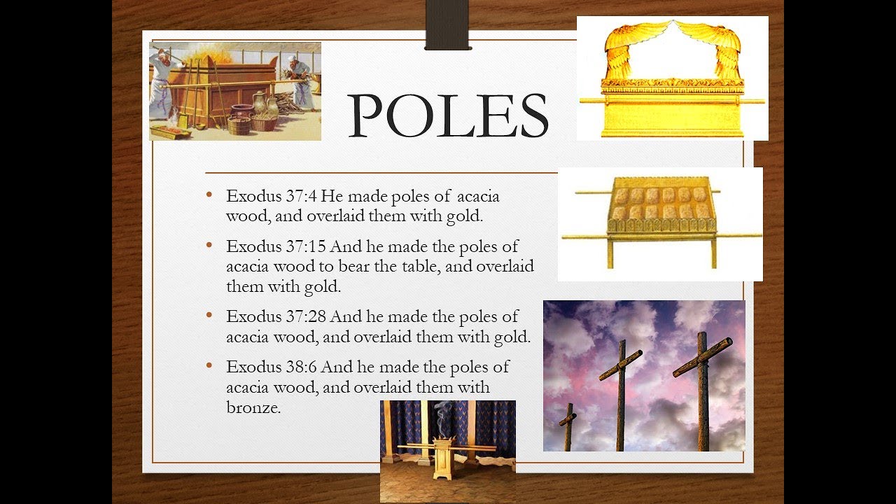 The Tabernacle Acacia Wood Poles and the Crucifixion of Yeshua / Jesus ...