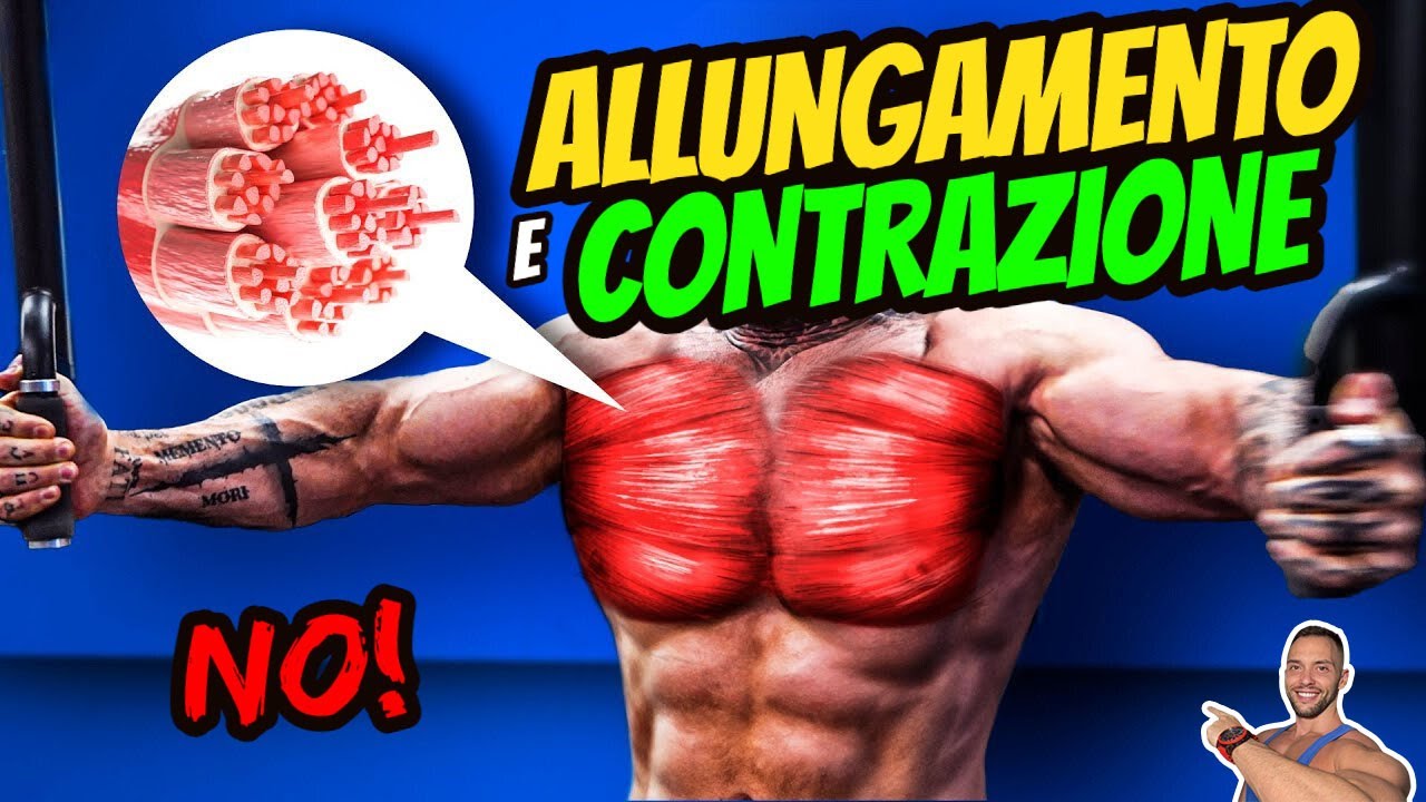 DIVENTARE ENORME🚫Smetti di ALLENARE i MUSCOLI in ALLUNGAMENTO e in ...