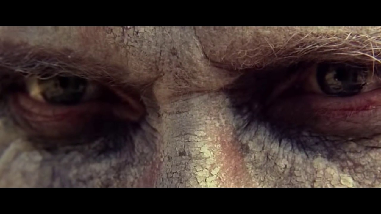 31 End Credits - YouTube