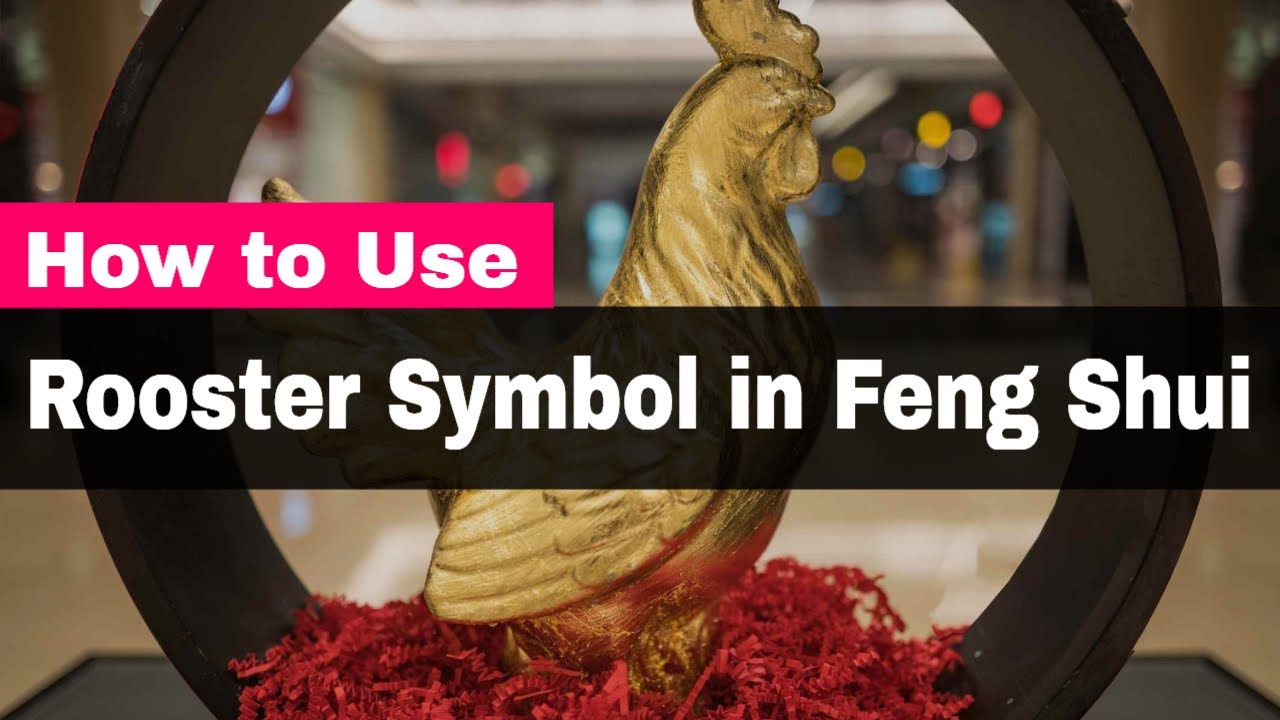 How to Use the Rooster Symbol in Feng Shui - YouTube