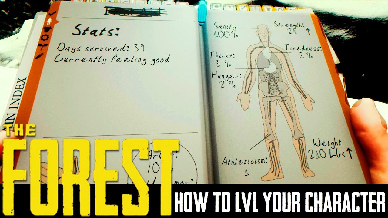 HOW TO LVL. YOUR CHARACTER - THE FOREST - Athletic, Weight, Strength ...