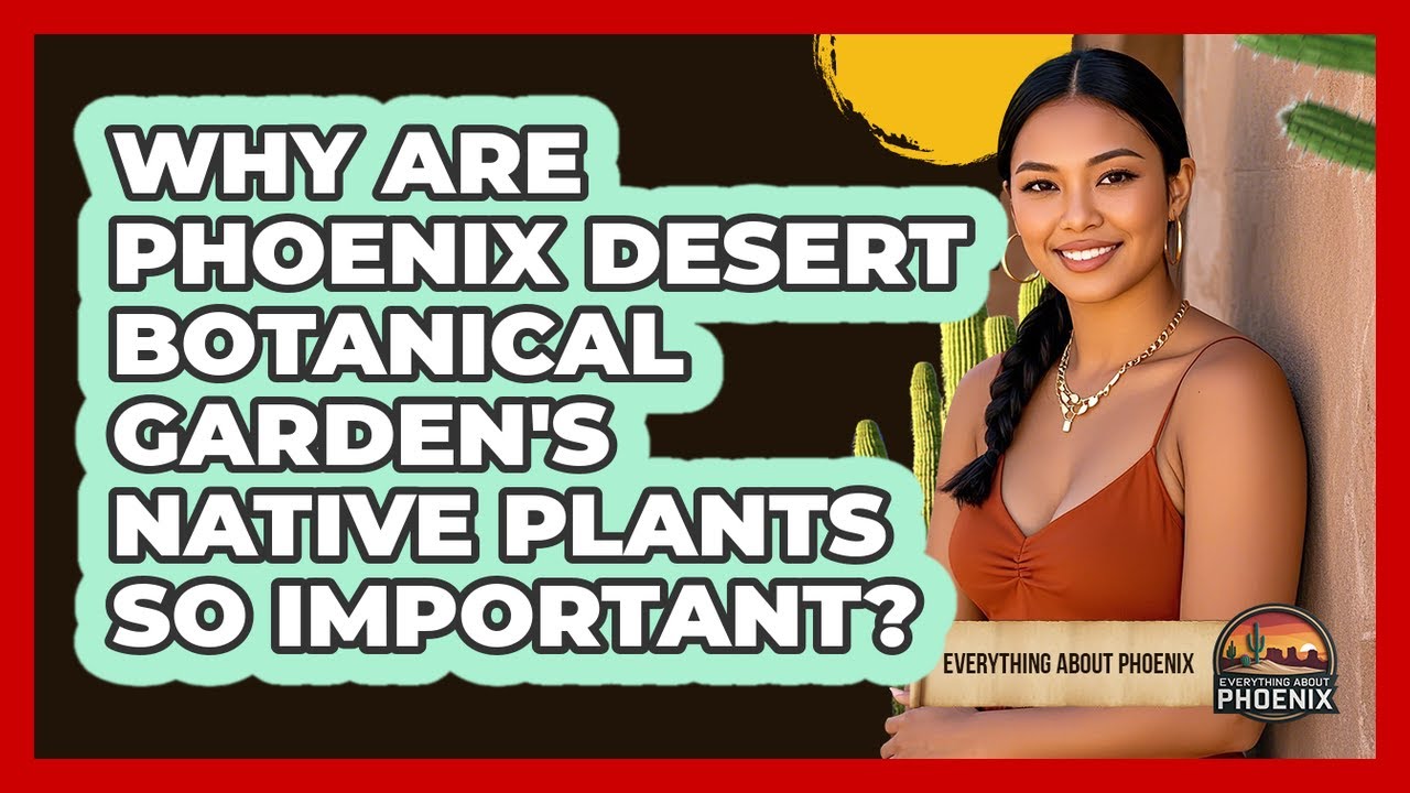 Why Are Phoenix Desert Botanical Garden's Native Plants So Important ...