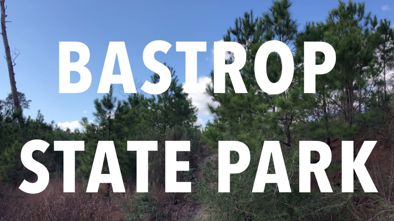 Bastrop State Park in 2020 | Texas State Parks| The Texas Trailhead ...