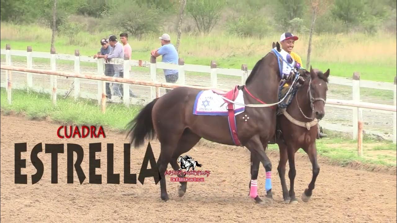 CUADRA SANTA ROSA VS CUADRA ESTRELLA 300 YDS - YouTube
