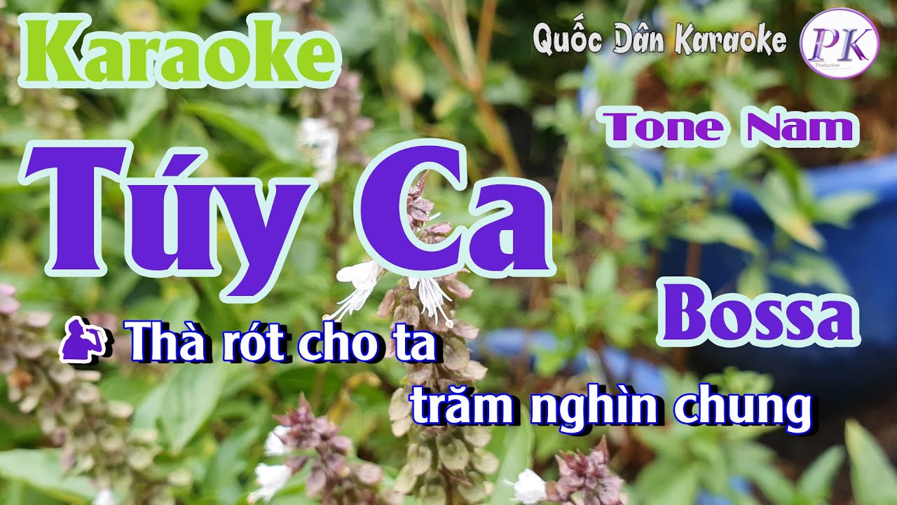 Karaoke Túy Ca | Bossa Nova | Tone Nam (Em,Tp:115) | Quốc Dân Karaoke ...