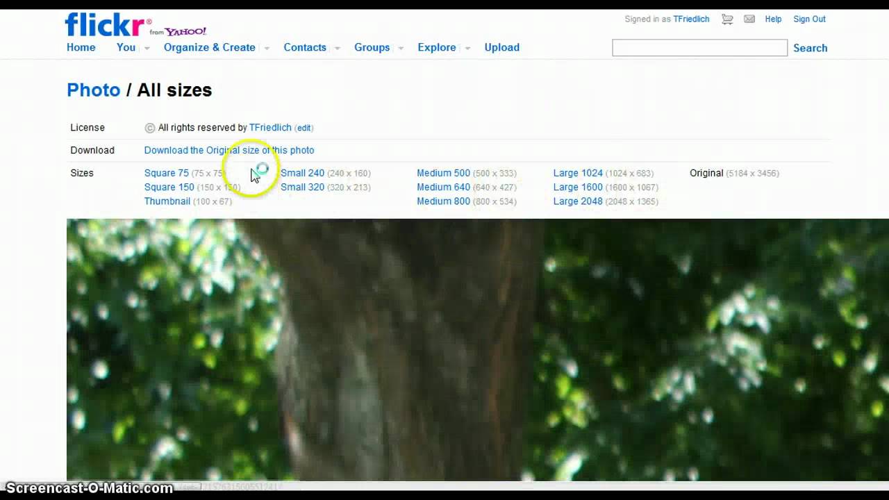 How to download a photo from Flickr - YouTube