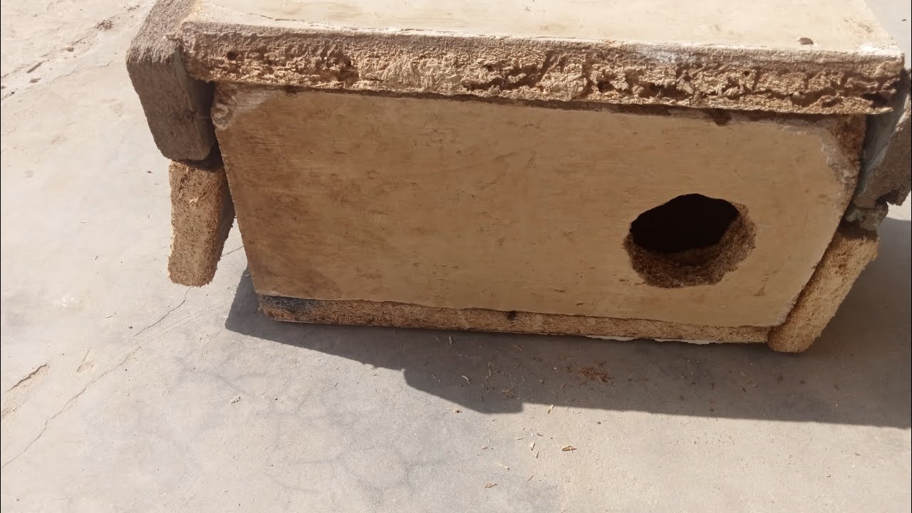 how to make breeding box for budgies kasa bana box - YouTube
