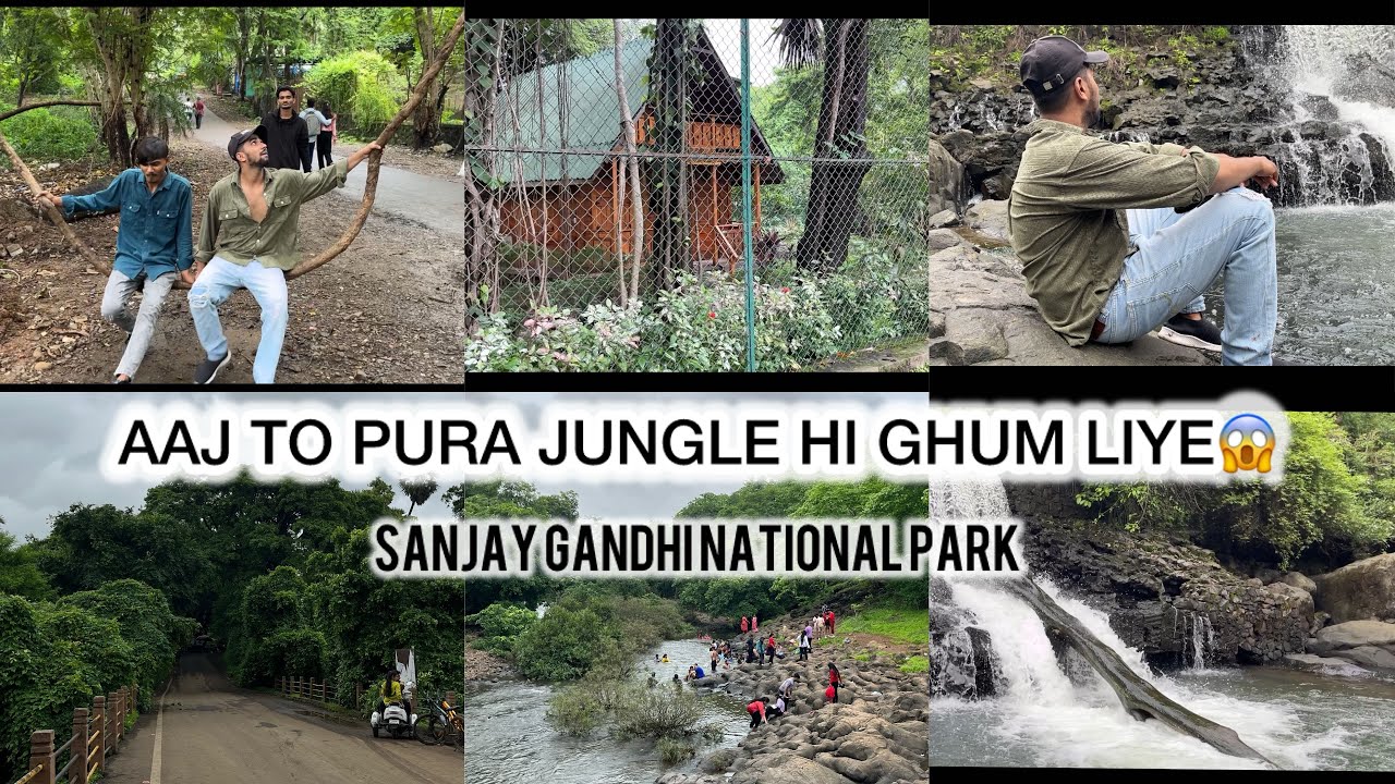 AAJ TO PURA JUNGLE HI GHUM LIYE | SANJAY GANDHI NATIONAL PARK | ATIK ...