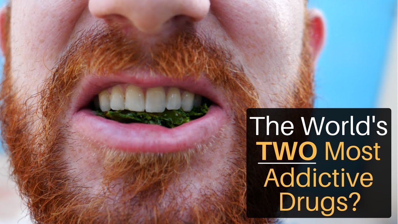 The World's 2 Most Addictive Drugs? - YouTube