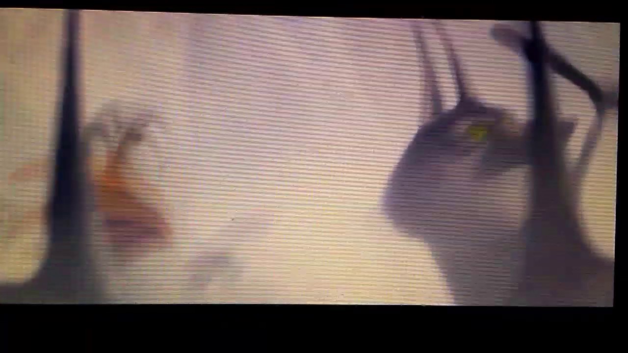 Storks Wolf scene - YouTube