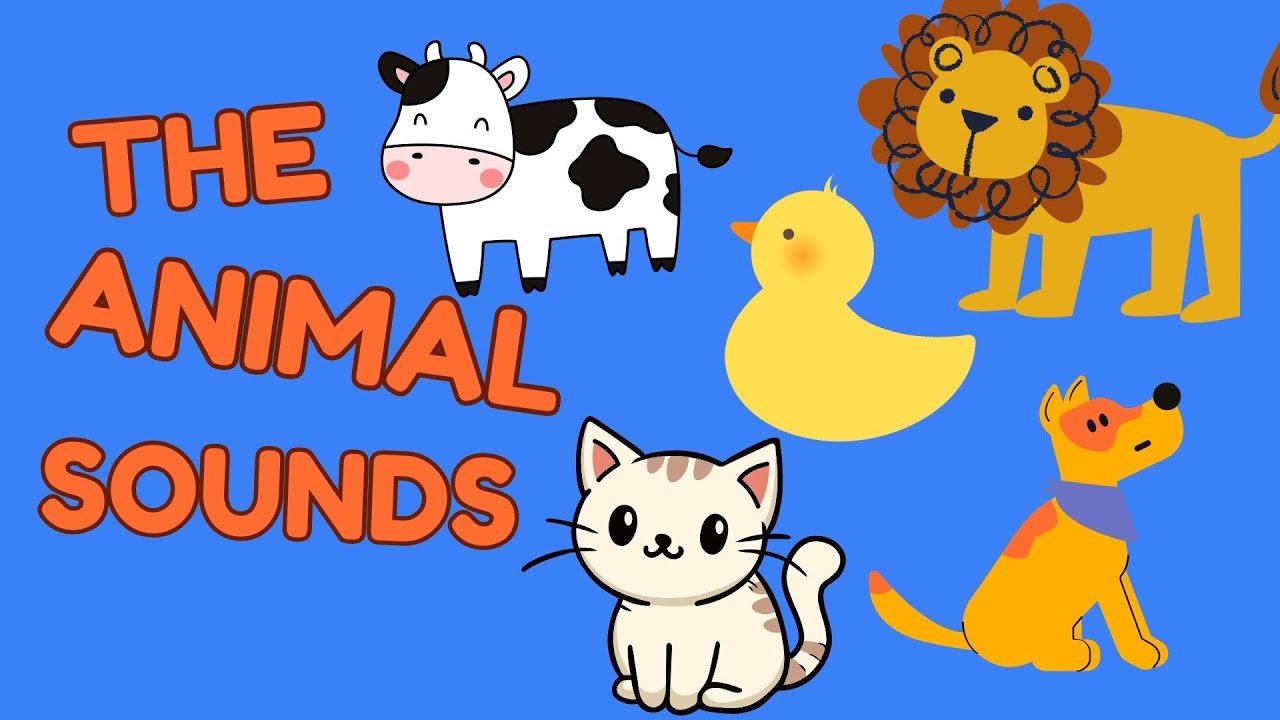 The Animal Sounds Song | Cool Kids Songs - YouTube